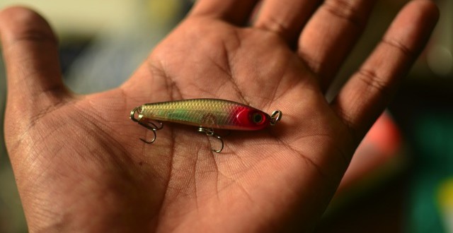 Adakah warna umpan tiruan memainkan peranan? | Ultralight Fishing Tips ...