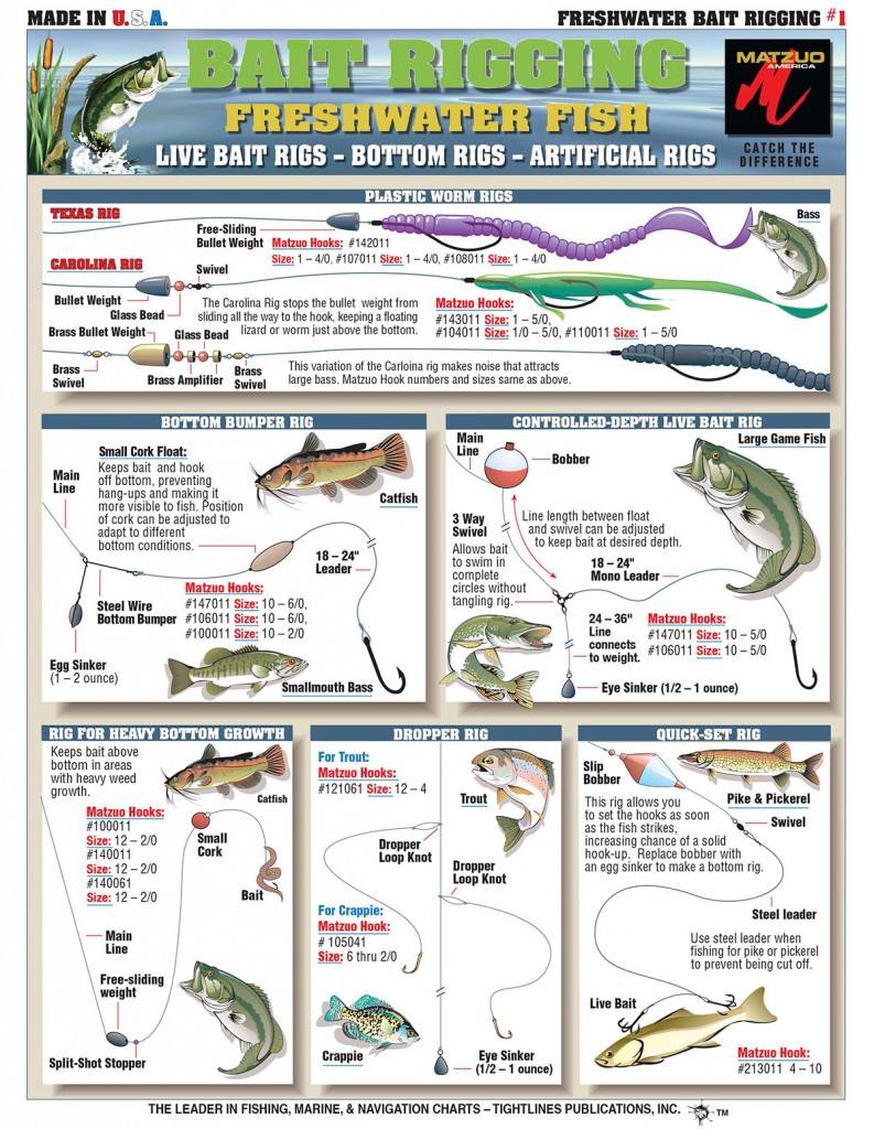 Soft Baits Rigging Guide | Ultralight Fishing Tips and Tricks For ...