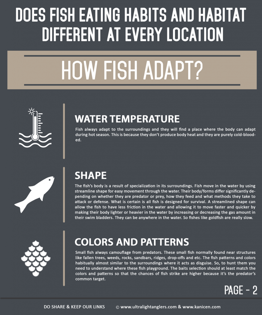 Does Fish Eating Habits and Habitat Different at Every Location ...