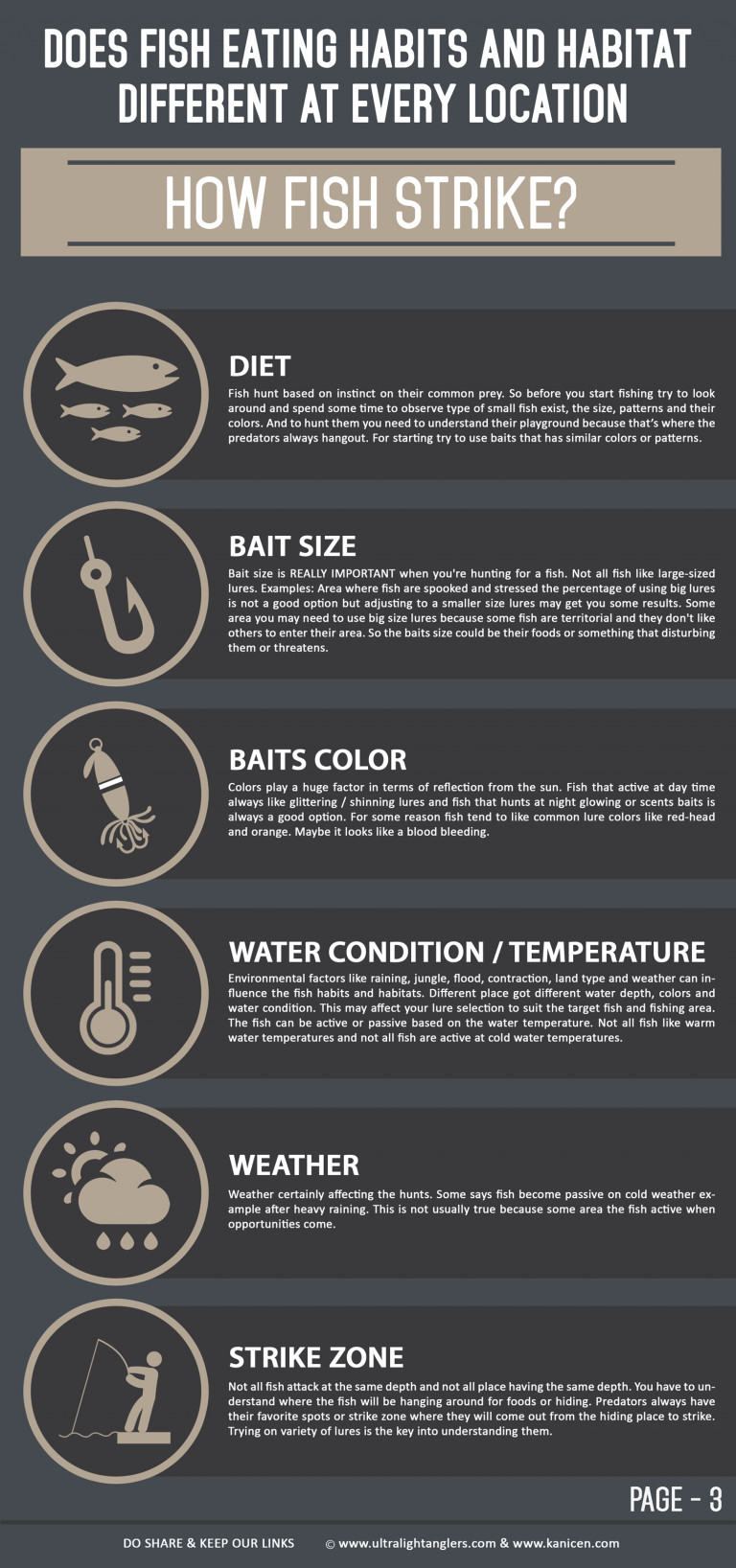 Does Fish Eating Habits and Habitat Different at Every Location ...
