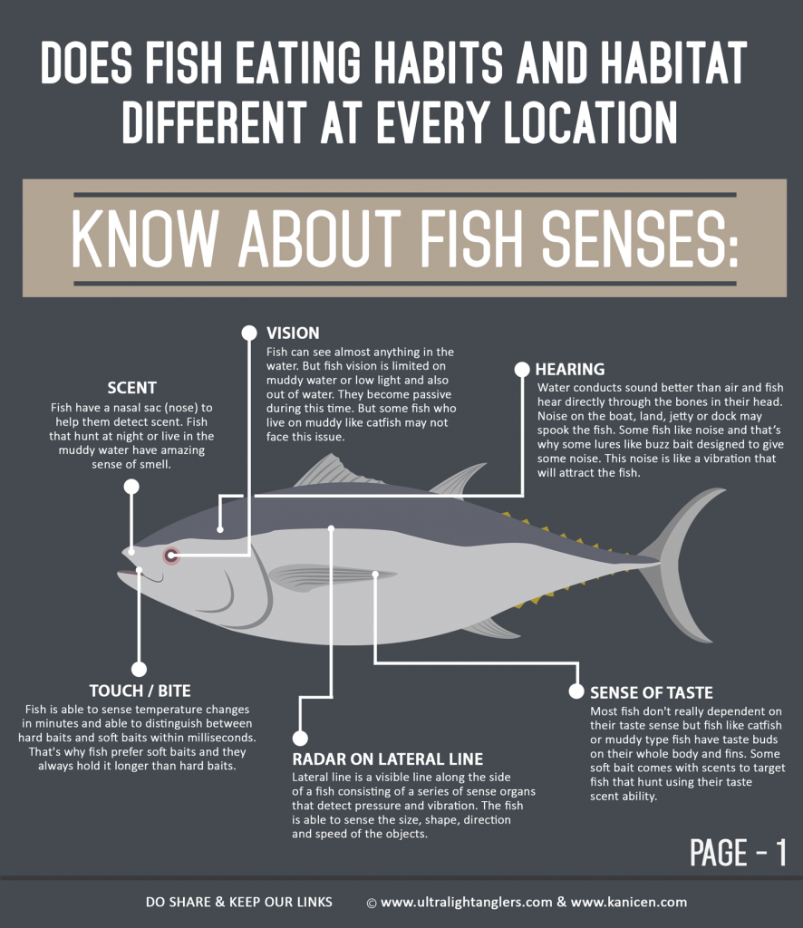 Does Fish Eating Habits and Habitat Different at Every Location ...