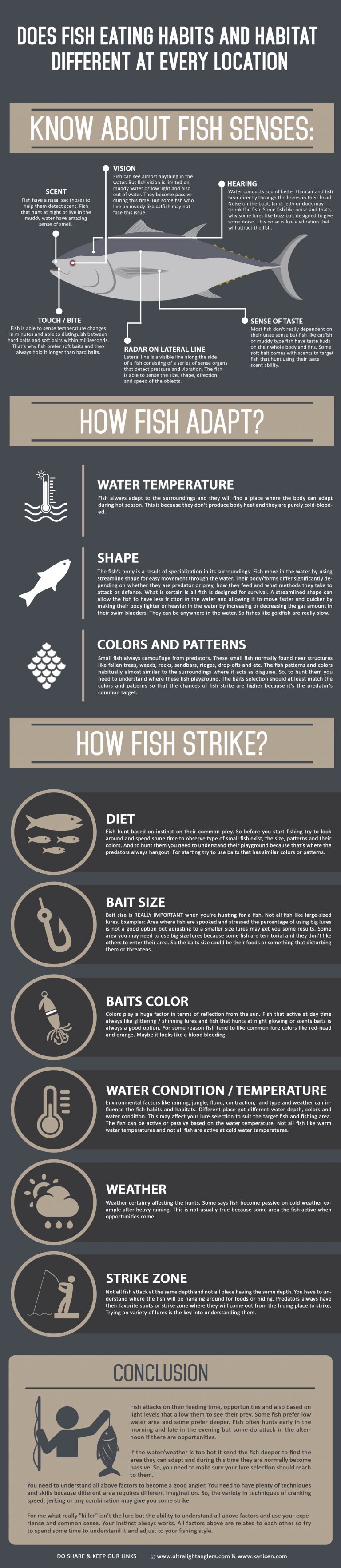 Does Fish Eating Habits and Habitat Different at Every Location ...